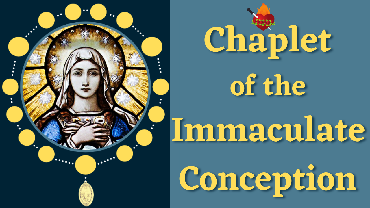Chaplet of the Immaculate Conception - The Catholic Crusade