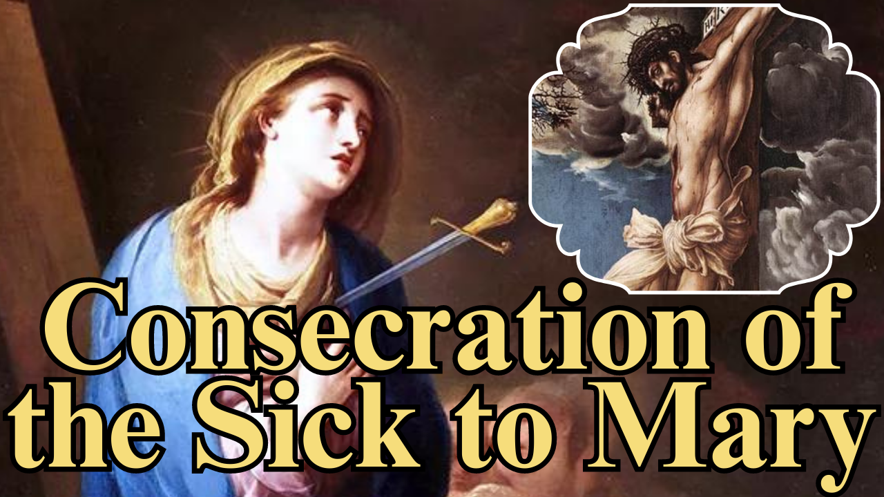 Consecration of the Sick to Mary - The Catholic Crusade