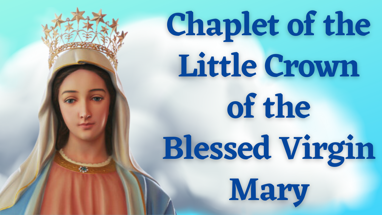 Little Crown of the Blessed Virgin Chaplet - The Catholic Crusade