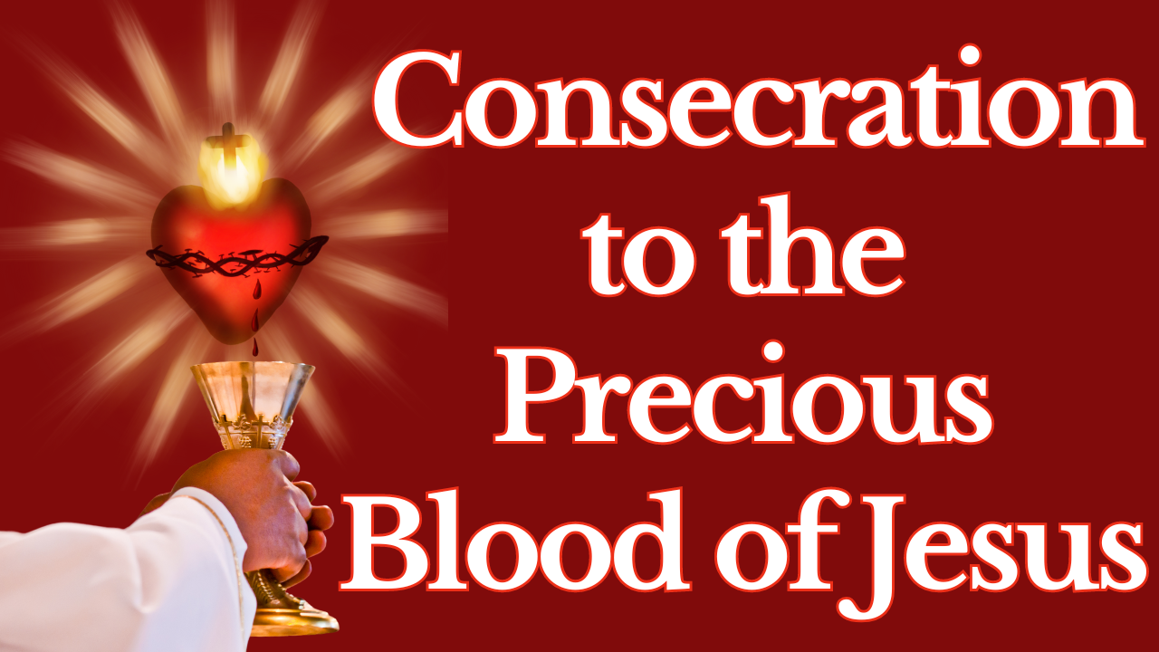 Consecration to the Precious Blood - The Catholic Crusade