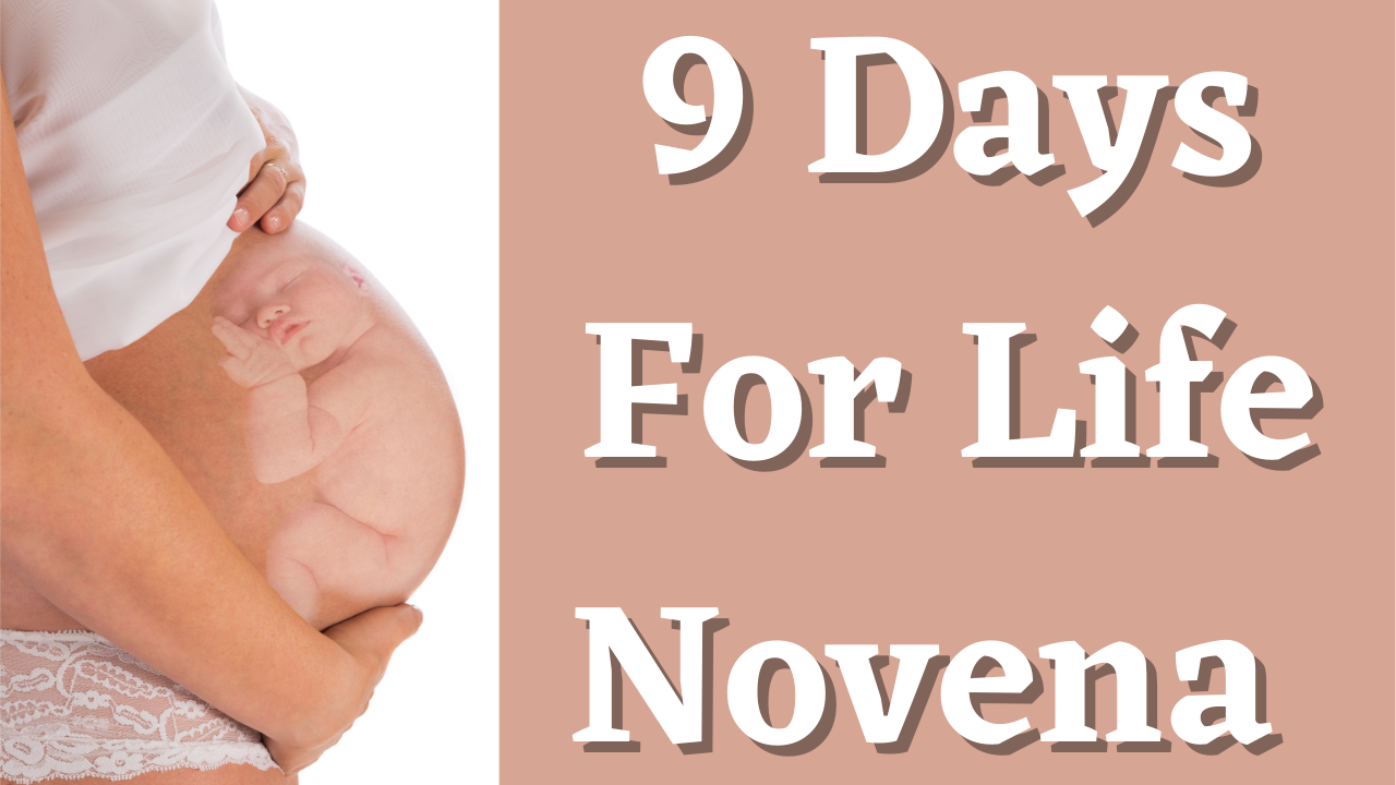 9 Days For Life Novena - The Catholic Crusade
