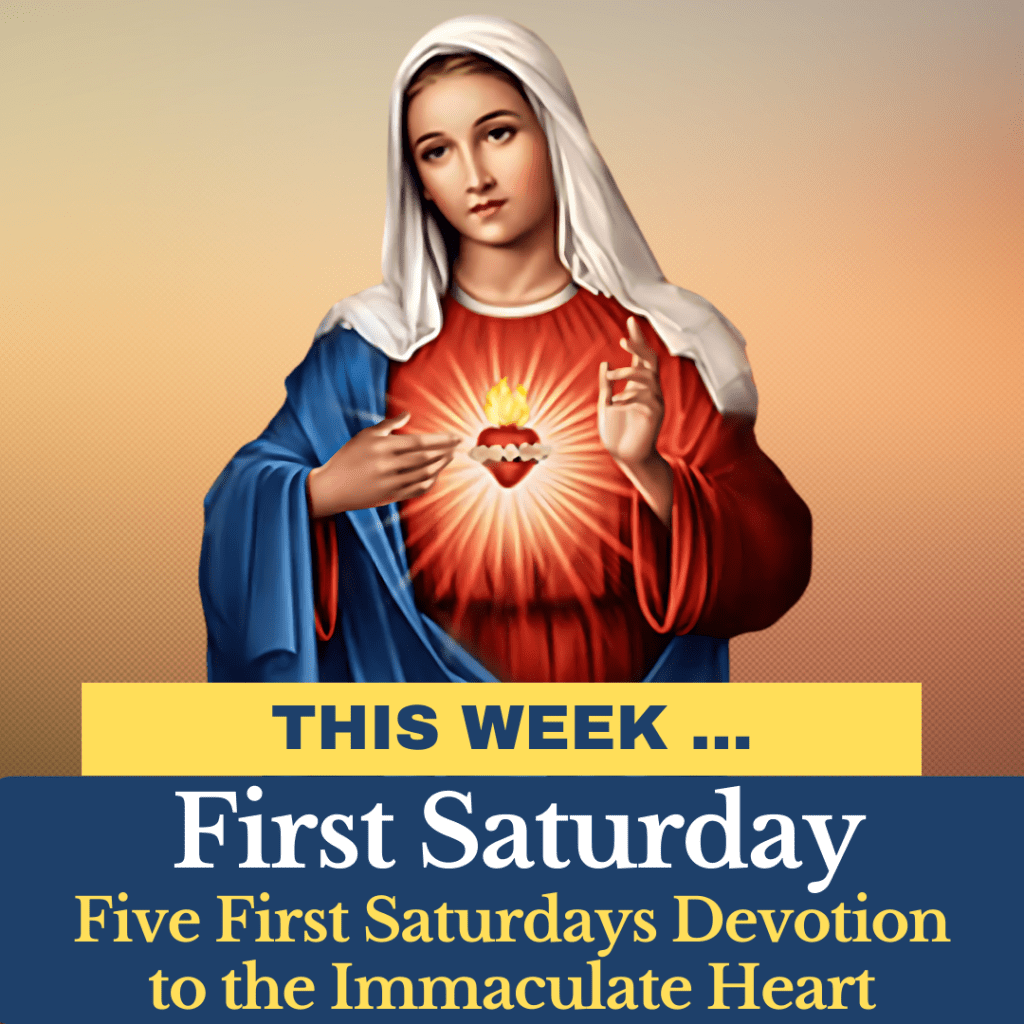 Our Lady of Mount Carmel Archives - The Catholic Crusade