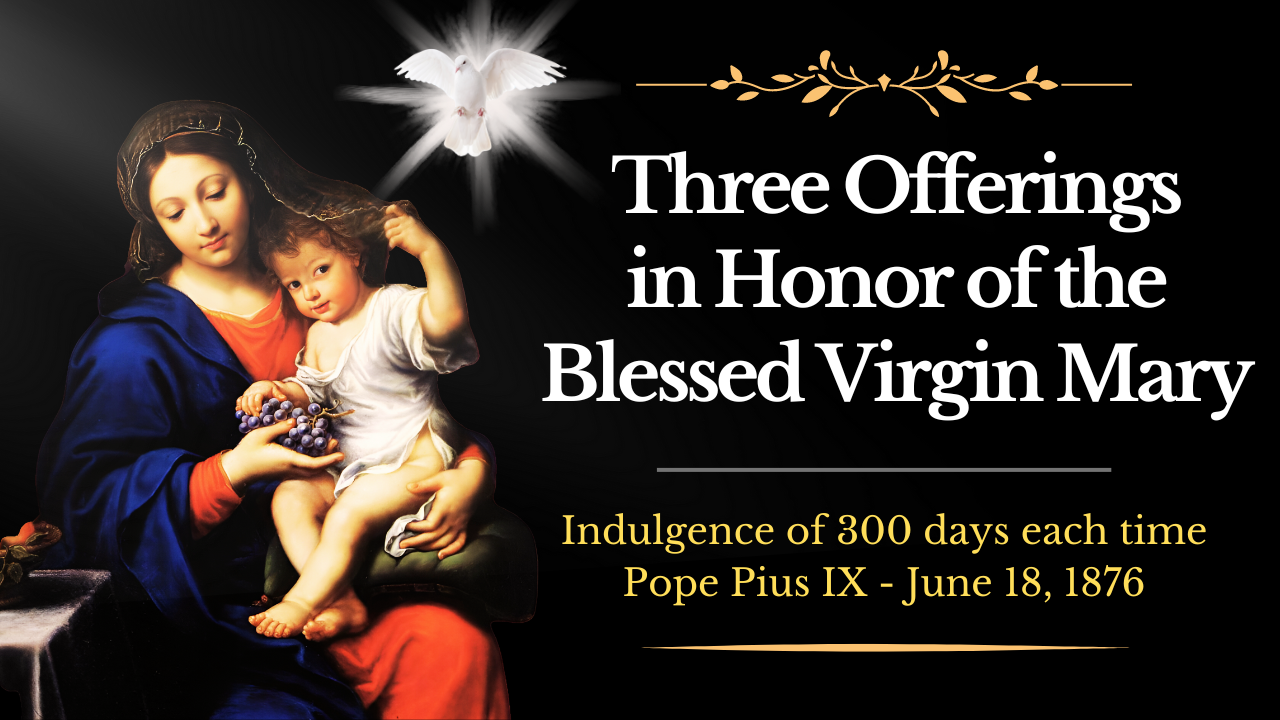 Three Offerings in Honor of the Blessed Virgin Mary - The Catholic Crusade