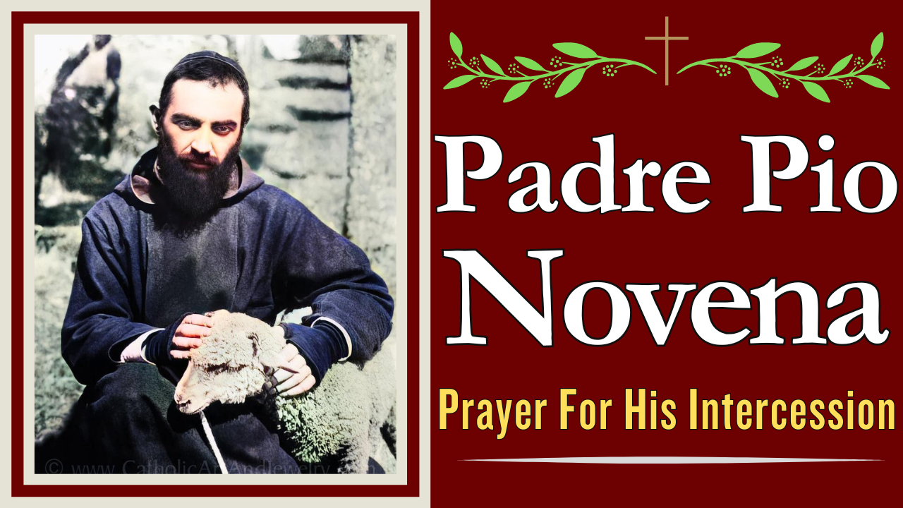 Novena to Padre Pio - The Catholic Crusade