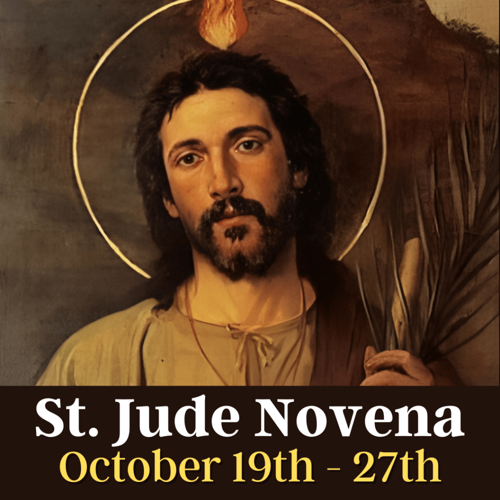 Novena to Our Lady of Knock - The Catholic Crusade