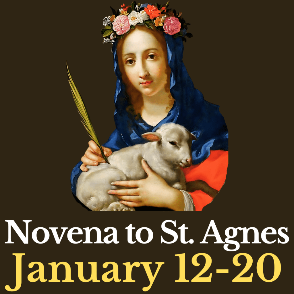 Stations of the Cross - The Catholic Crusade