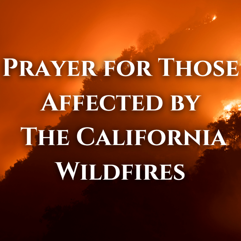 The Most Powerful Healing Prayer of Padre Pio - The Catholic Crusade