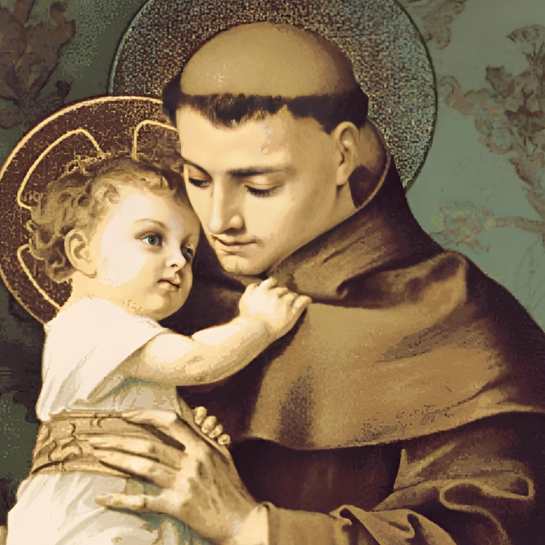 St. Anthony - The Catholic Crusade