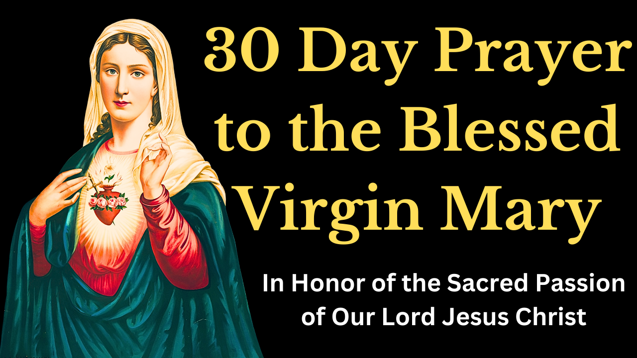Thirty Day Prayer to the Blessed Virgin Mary - The Catholic Crusade