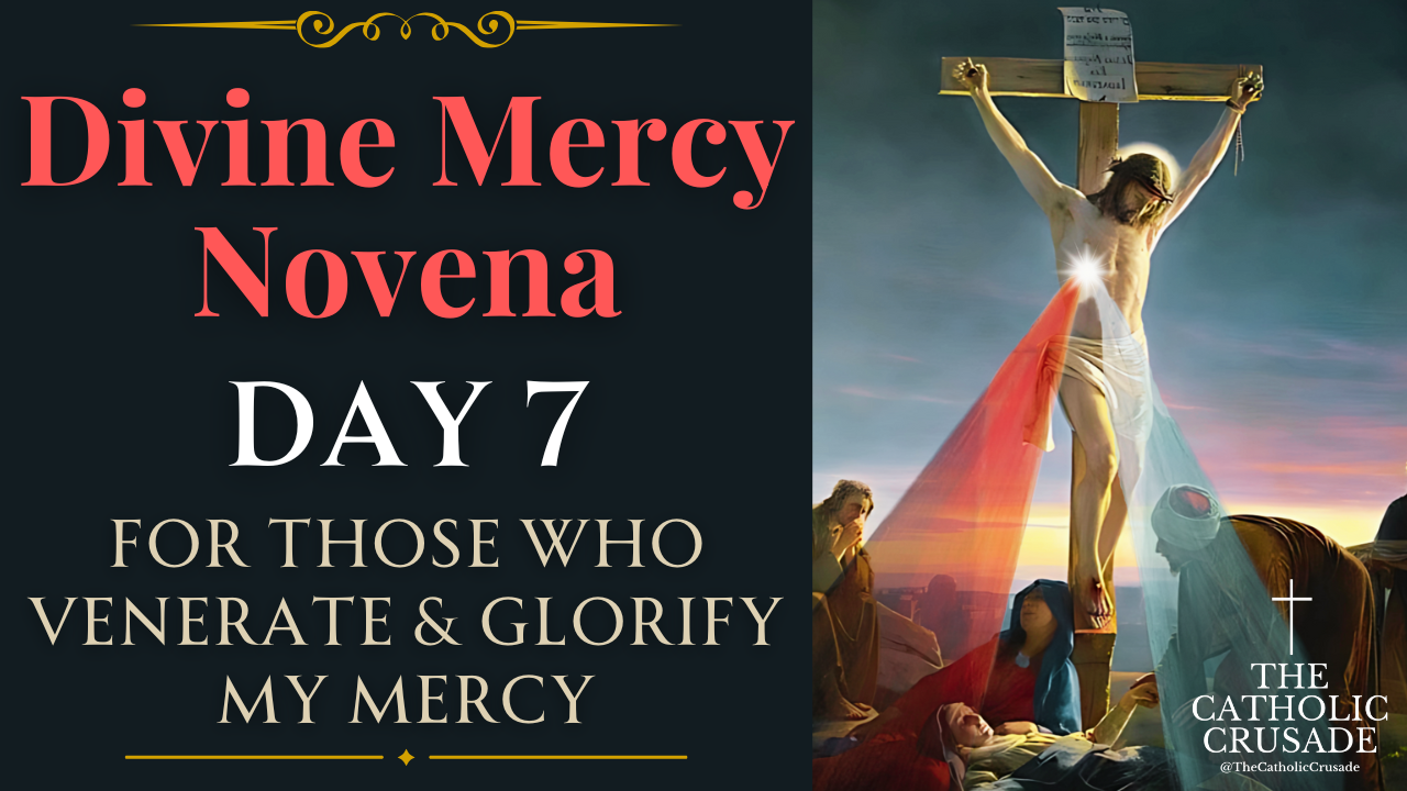 Divine Mercy Novena — Day 7 - The Catholic Crusade