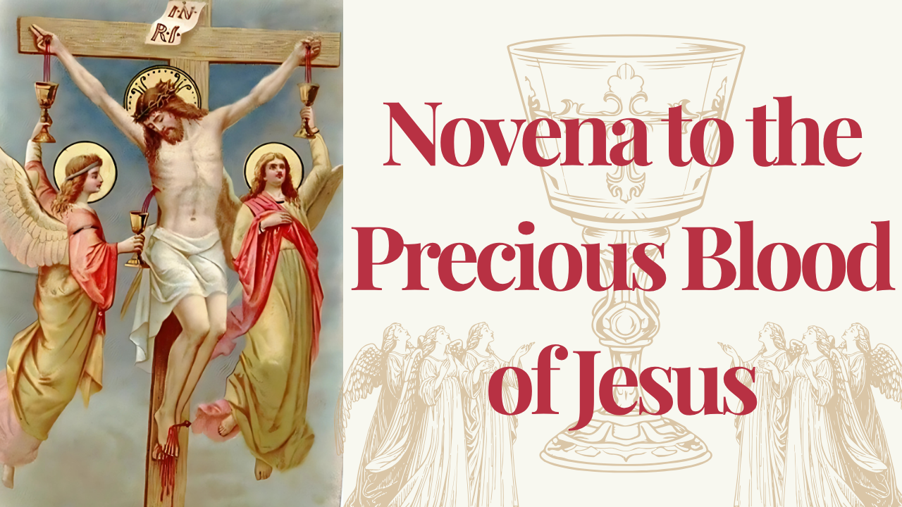 Novena to the Precious Blood - The Catholic Crusade