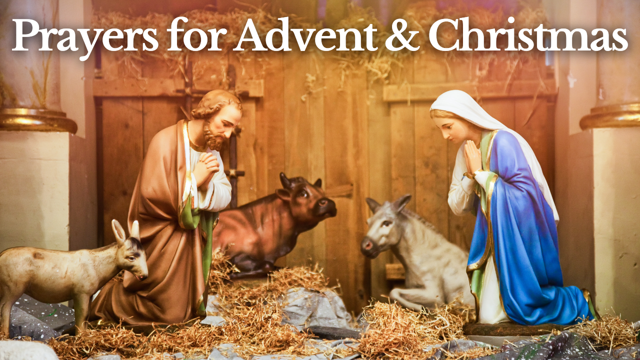 Prayers for Advent & Christmas - The Catholic Crusade