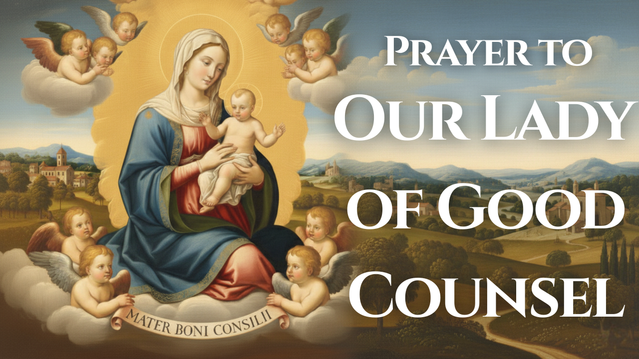 Prayer to Our Lady of Good Counsel - The Catholic Crusade