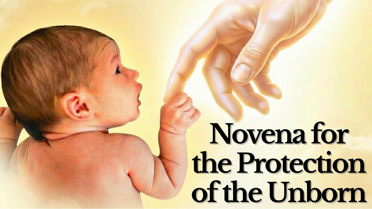 Novena for the Protection of the Unborn - The Catholic Crusade