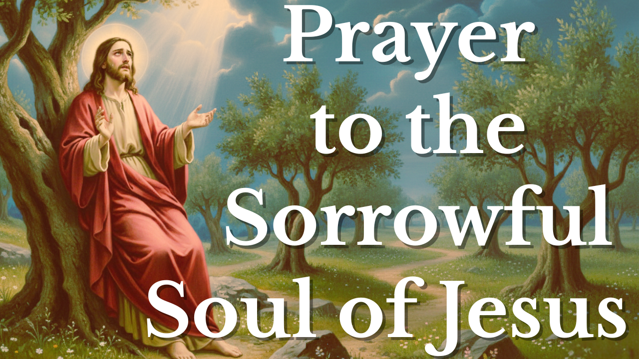 Prayer to the Sorrowful Soul of Jesus - The Catholic Crusade